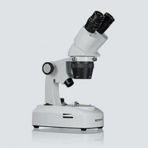 Loupe binoculaire : une exploration du monde microscopique