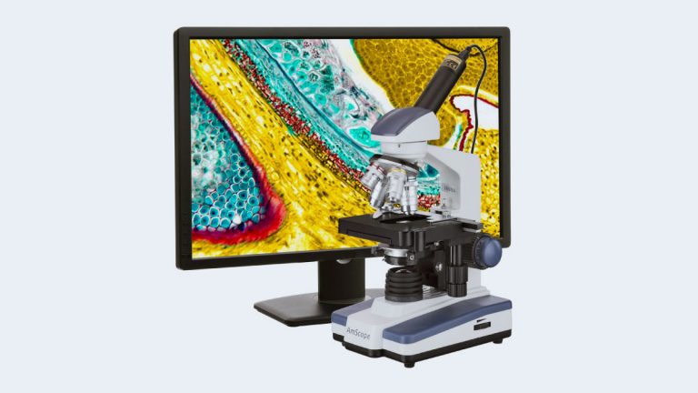 Loupe binoculaire : une exploration du monde microscopique