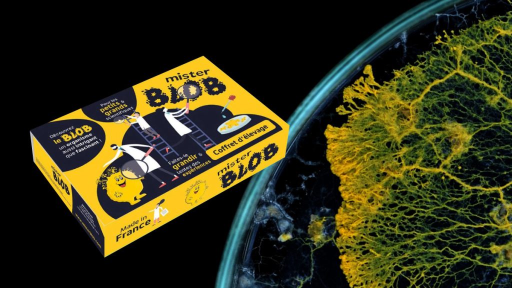 Blob Kit : Le Monde Fascinant des Organismes Unicellulaires