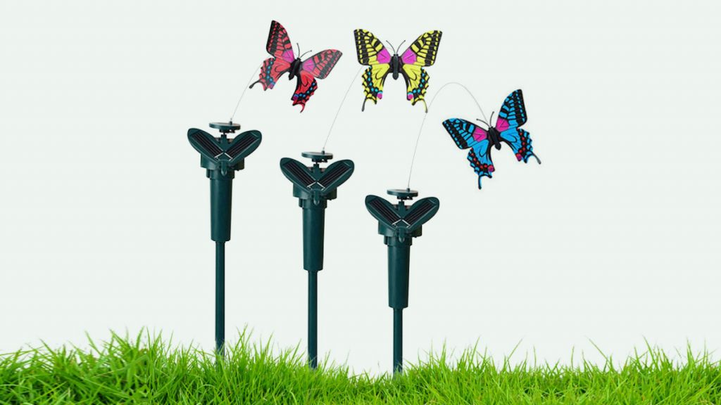 Papillon Solaire : Une Danse Ensoleillée dans Votre Jardin