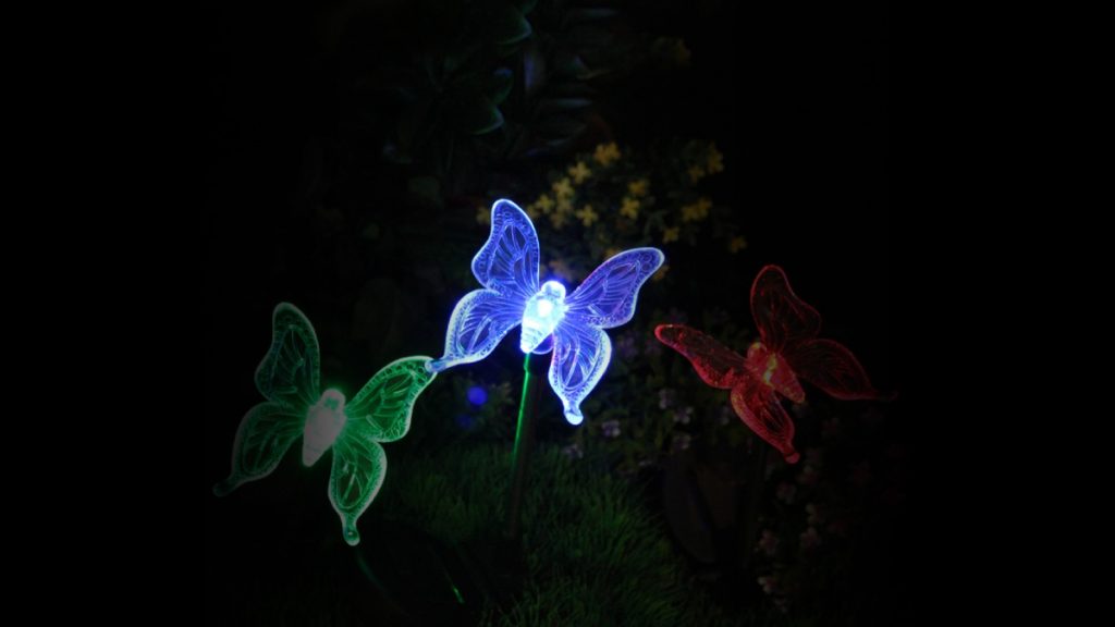 Papillon Solaire : Une Danse Ensoleillée dans Votre Jardin