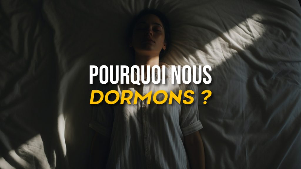 Pourquoi dormons-nous ? Explorons la science du sommeil